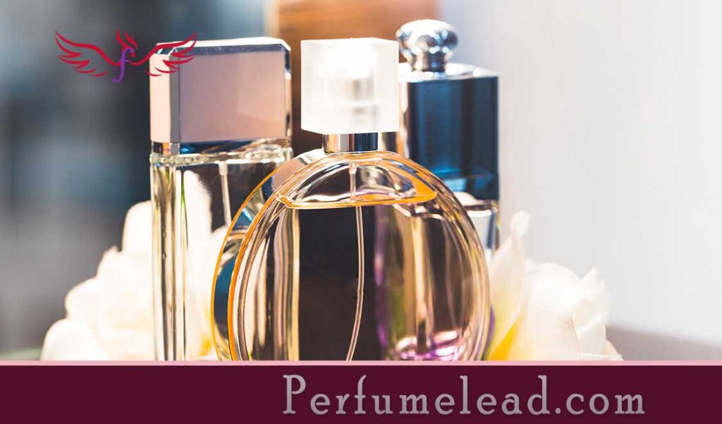 Easy Perfume Bottle Sizes Guide